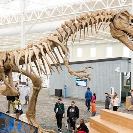 A Few of My Favorite Spaces | Frisco Public Library