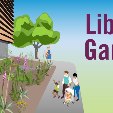 Experience the Beauty of the Library Garden | Frisco Public Library