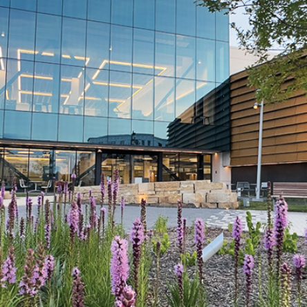 Beyond Books | Frisco Public Library